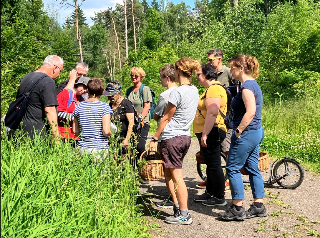Houbařský kurz s Danielou pro MÍRNĚ pokročilé | Vysočina